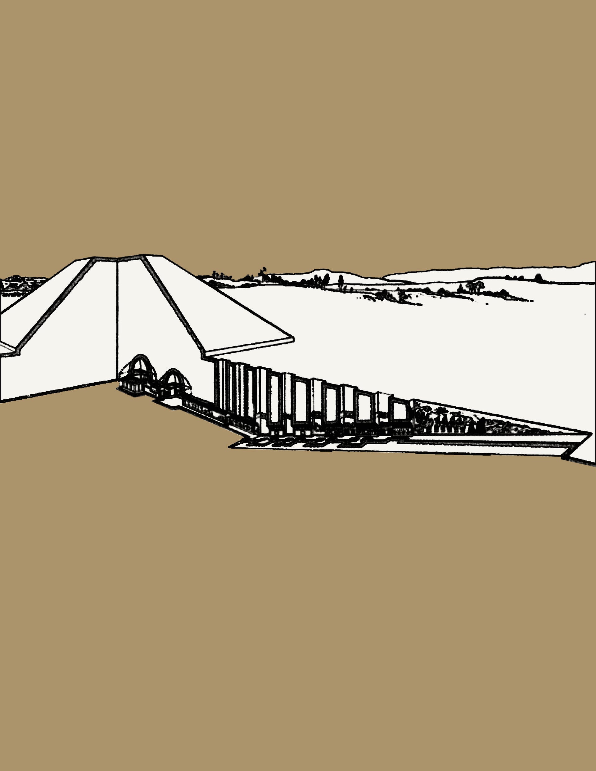 Xin Wang | RISD / Museum Publications